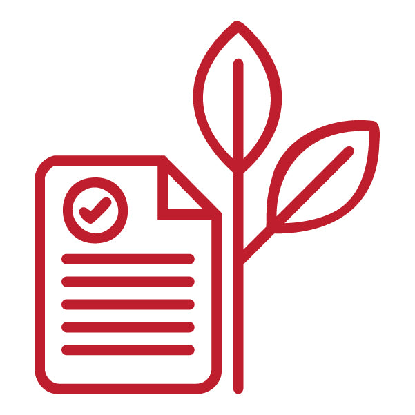 Freshly Baked Cakes, Pastries & Breads – PrimaDéli